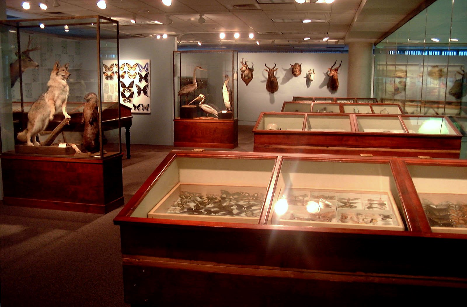 Natural Selection – Albany International Airport Art & Culture Program